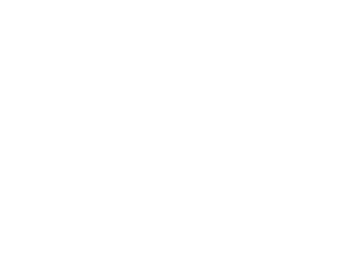 News – Aliança Traduções